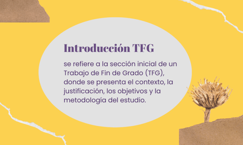 Cómo hacer la introducción de un TFG: ejemplos y consejos útiles ️